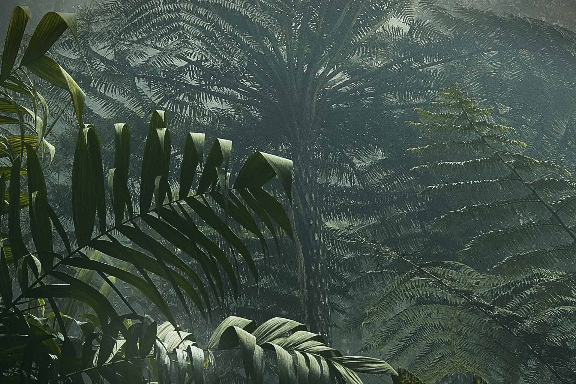 The Secret to Sustainable Quality | Nespresso Professional